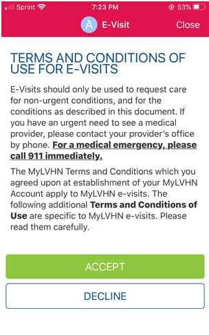 LVHN E-Visit: Step by Step Instructions