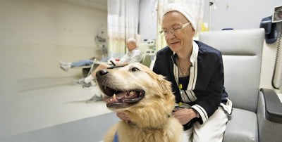 How Infusion Services Can Help You