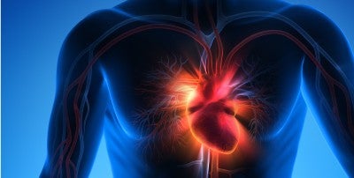 What’s AFib and Why Does It Matter? | Lehigh Valley Health Network