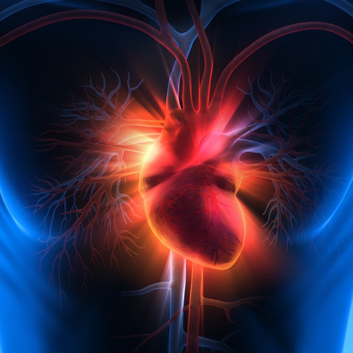 What’s AFib and Why Does It Matter? | Lehigh Valley Health Network