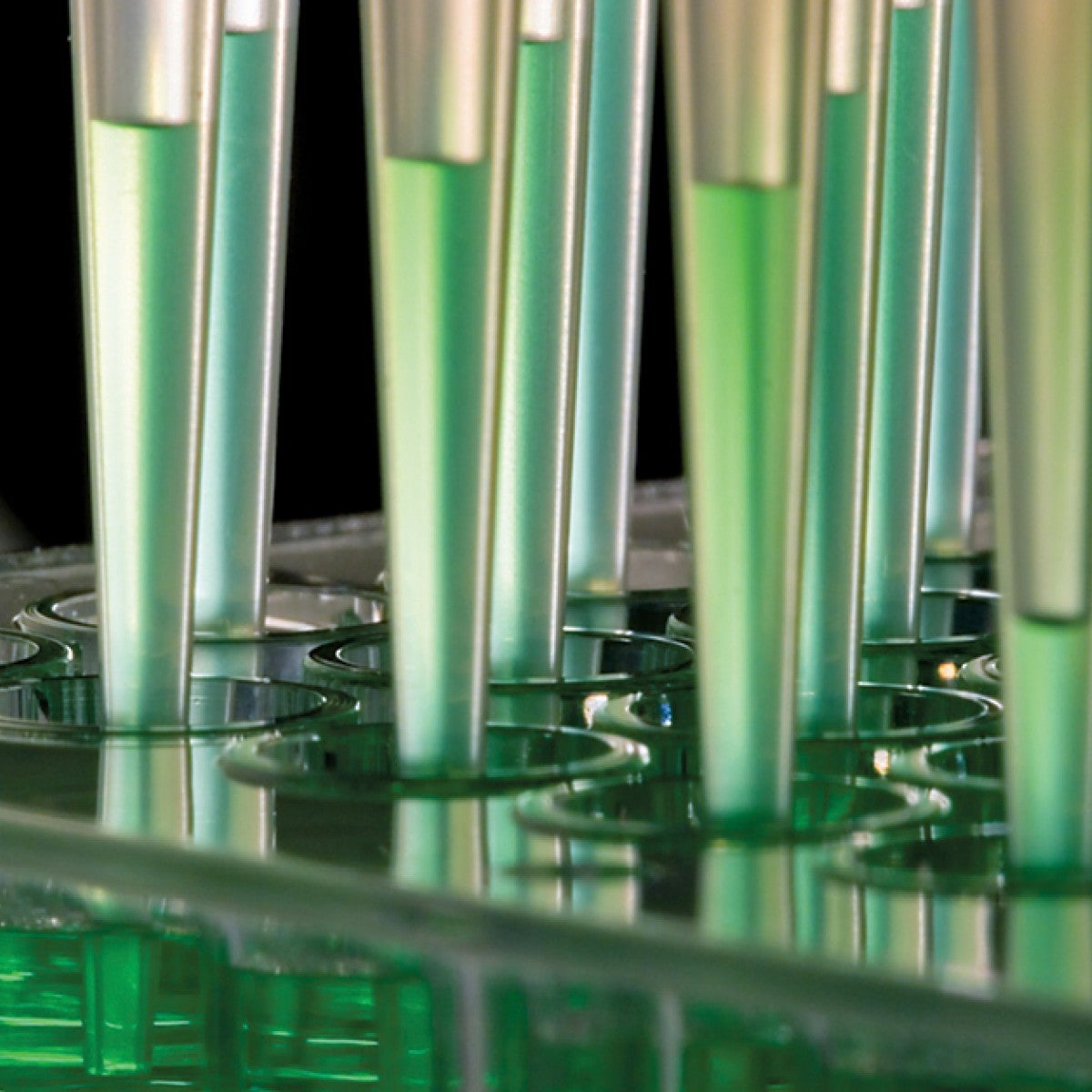 Study Will Help Detect the Earliest Signs of Cancer Recurrence | Lehigh ...