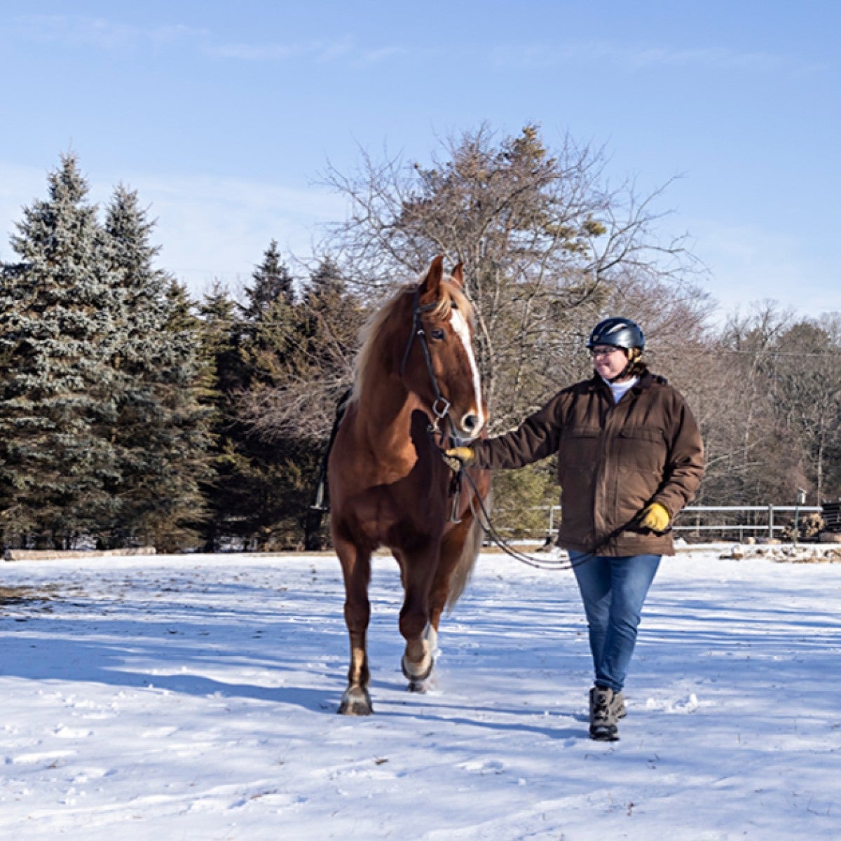 Partial Repair + Physical Therapy = Full Recovery | Lehigh Valley ...