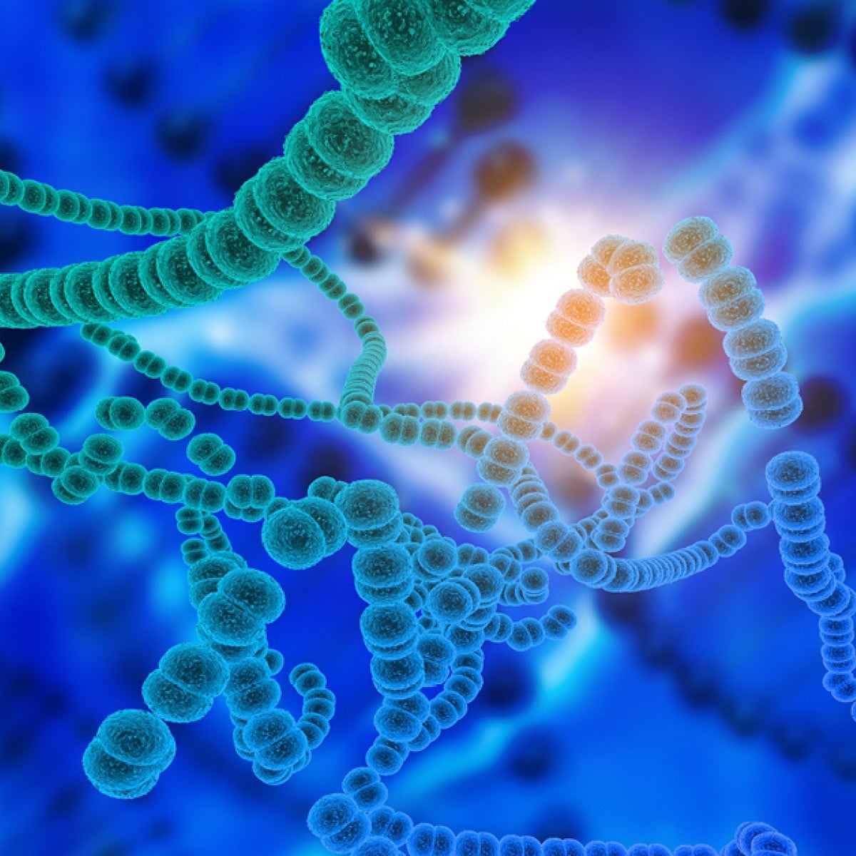 Cases of Life-Threatening Strep Infections Are on the Rise | Lehigh ...