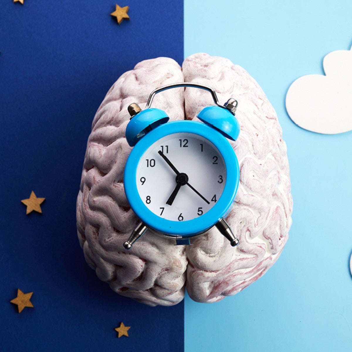 Good Quality Sleep Is Crucial to a Healthy Brain | Lehigh Valley Health ...
