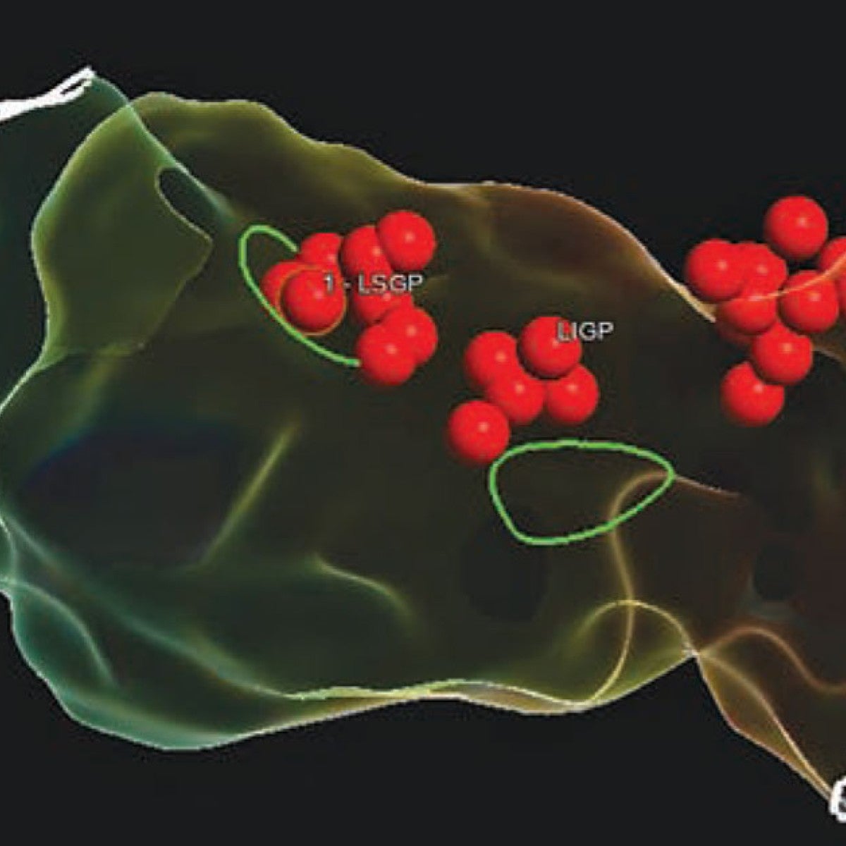 LVHN Is First in Region to Offer New Treatment for Vasovagal Syncope ...