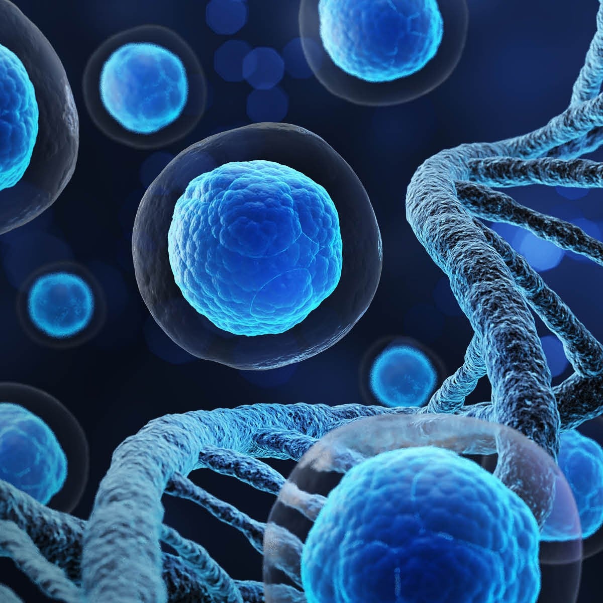 Chimeric Antigen Receptor (CAR)-T Cell Therapy Now Available at LVHN ...