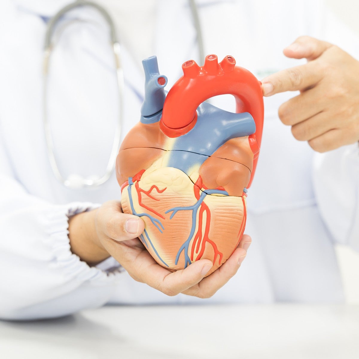 5 Surprising Facts About Cardiovascular Disease | Lehigh Valley Health ...