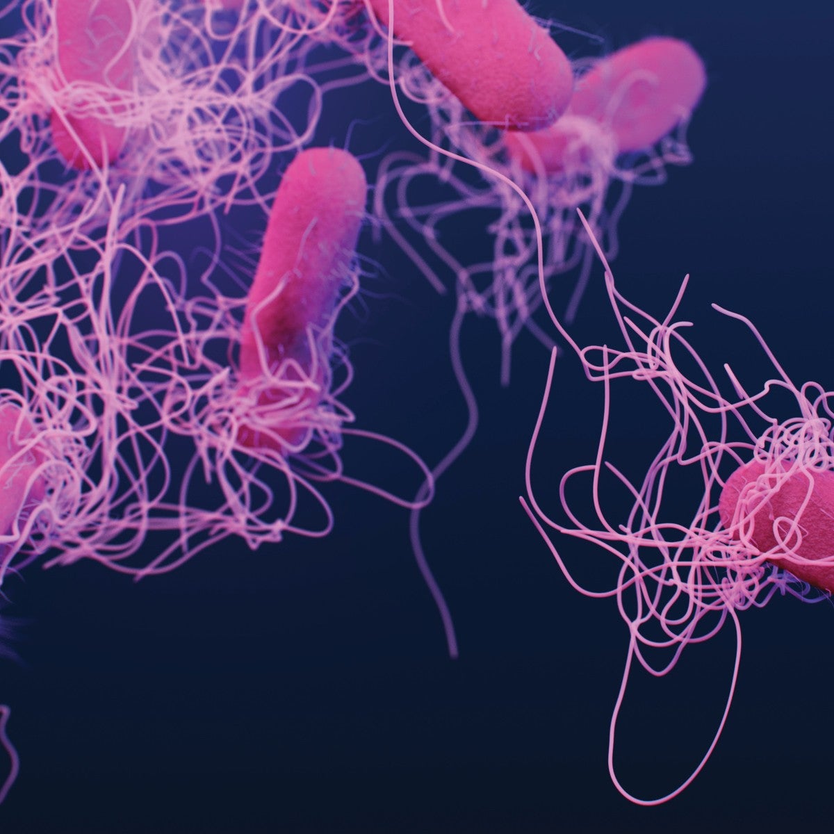 What to Know About Foodborne Illness | Lehigh Valley Health Network
