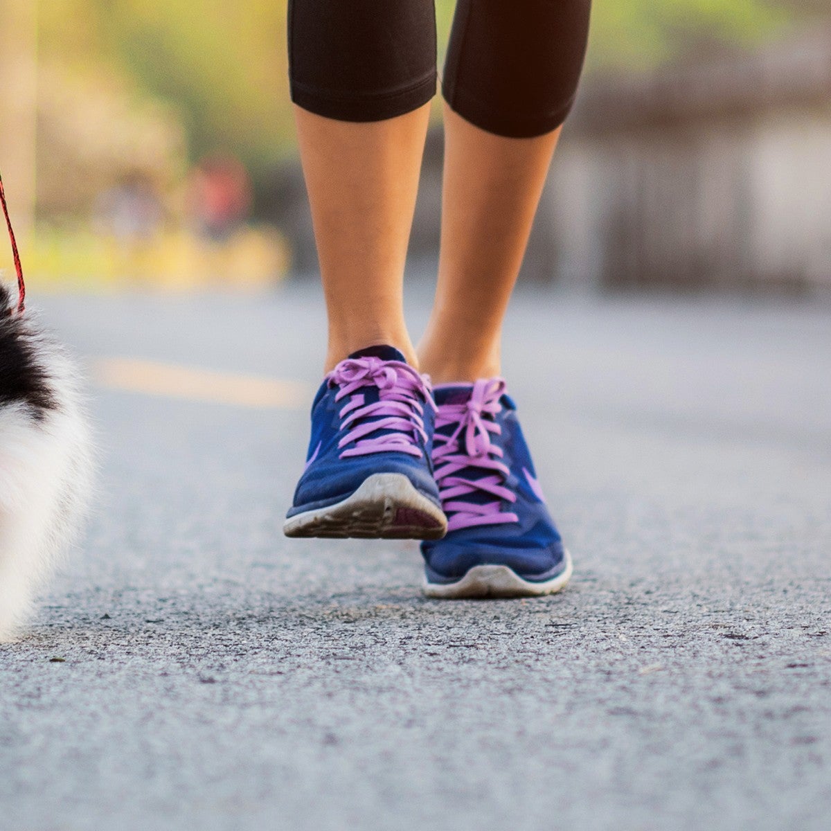 Celebrate National Walking Day 2025: Is Walking Better Than Running ...