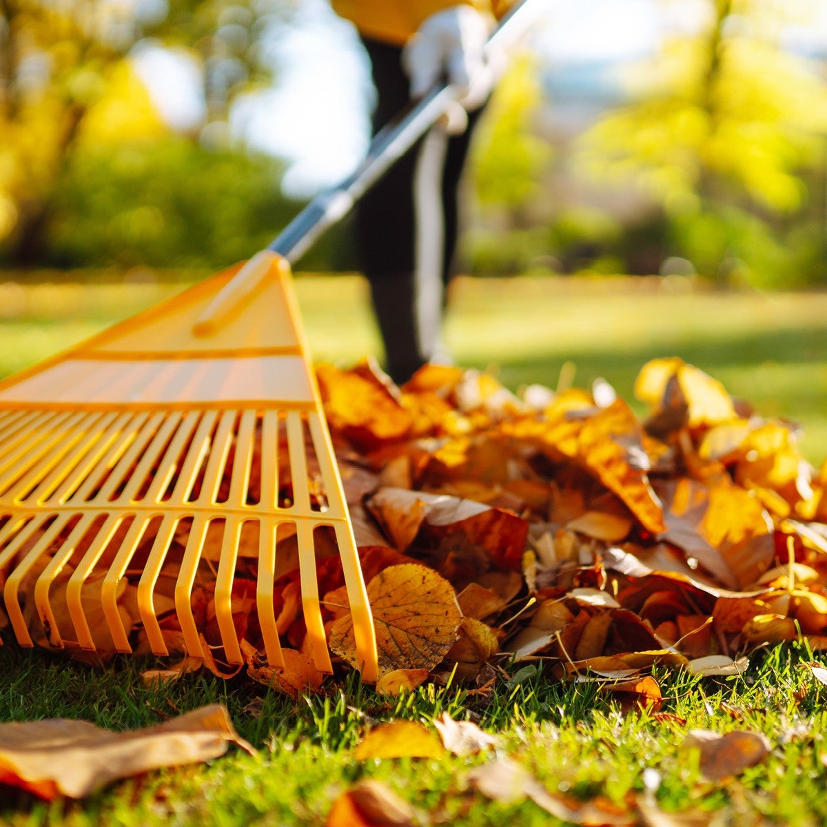 Fall Safety Tips to Keep Your Autumn Accident-Free | Lehigh Valley ...